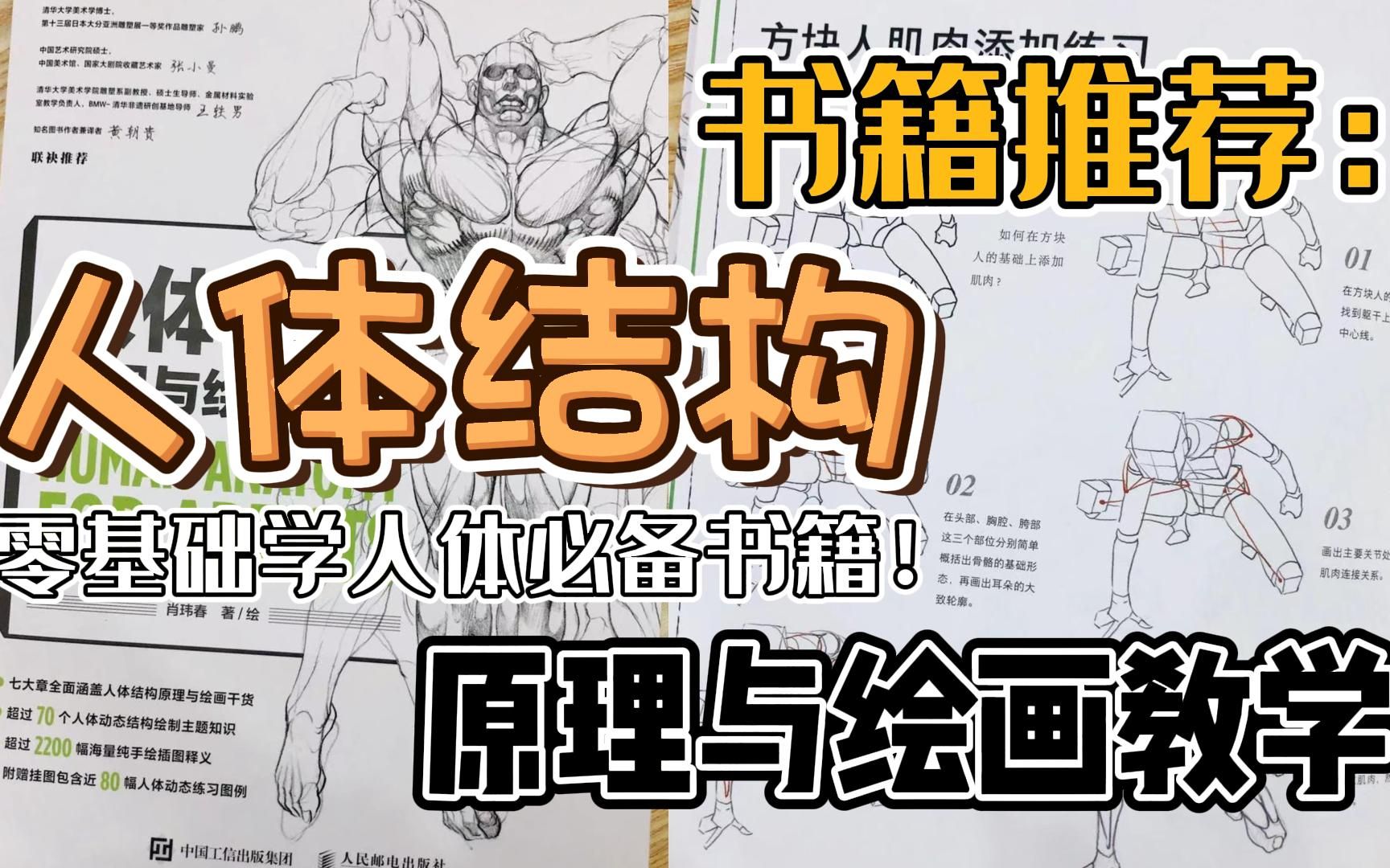 很推荐春哥的书!《人体结构原理与绘画教学》跟着春哥学人体,你也能...