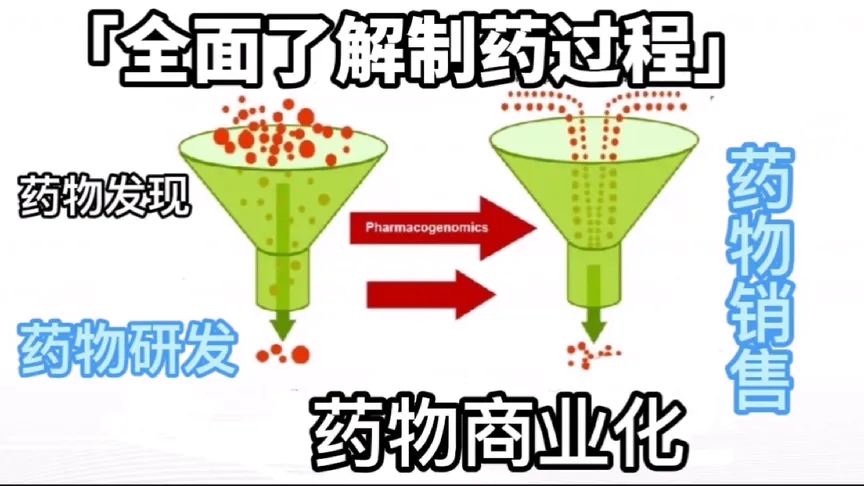 从药物发现、药物研发到药物销售!详解开发药物全流程!(一)