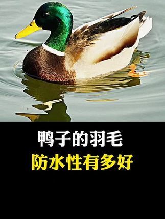 小苏打加白醋,混合擦炉灶,油污全跑光