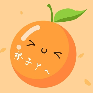 橙子备考君 