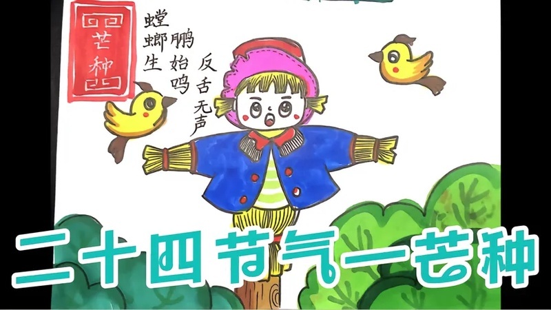二十四节气--芒种