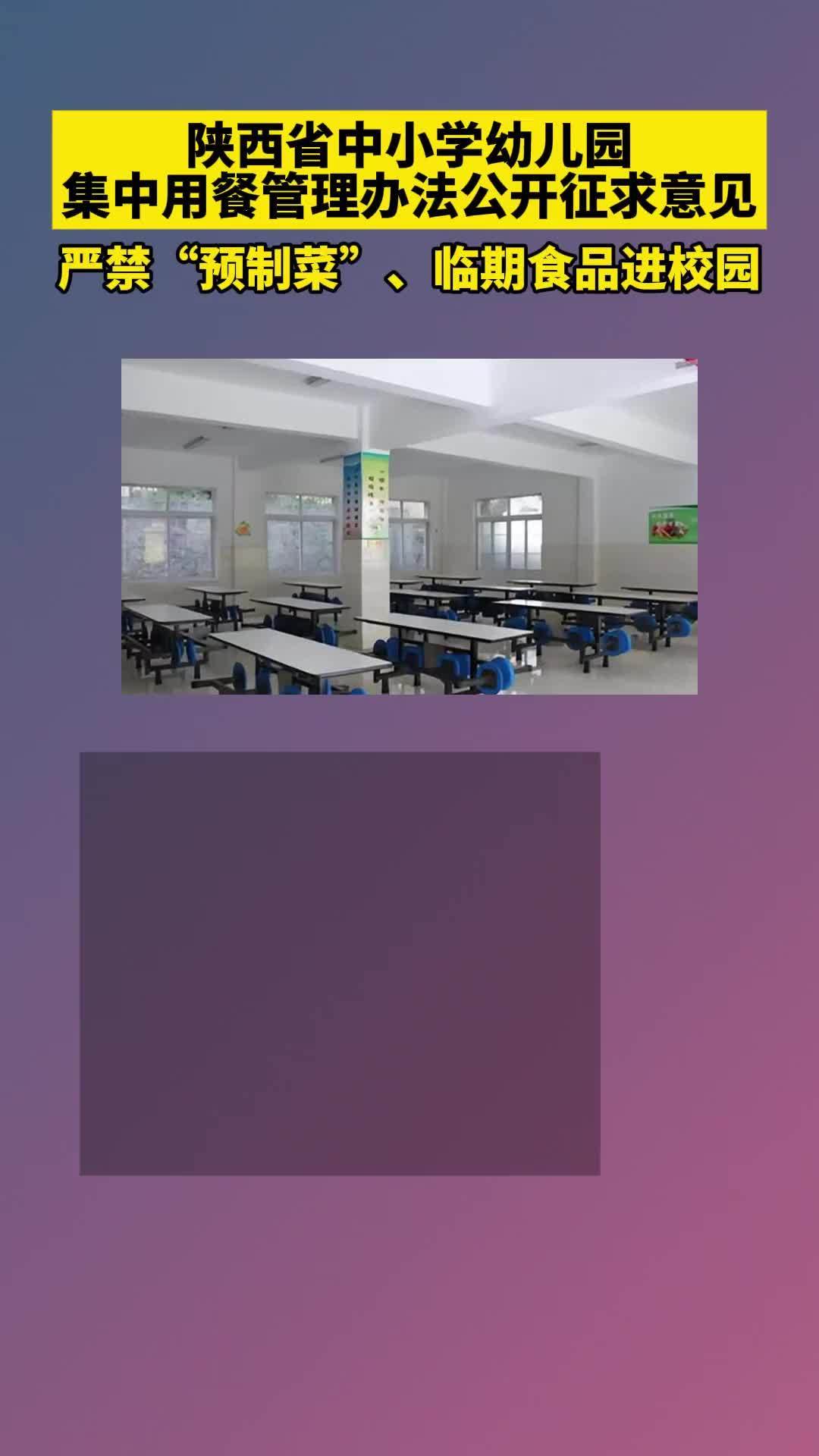 陕西省中小学幼儿园集中用餐管理办法公开征求意见