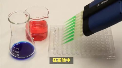 电化学腐蚀实验全揭秘!1分钟学会模拟金属生锈全过程