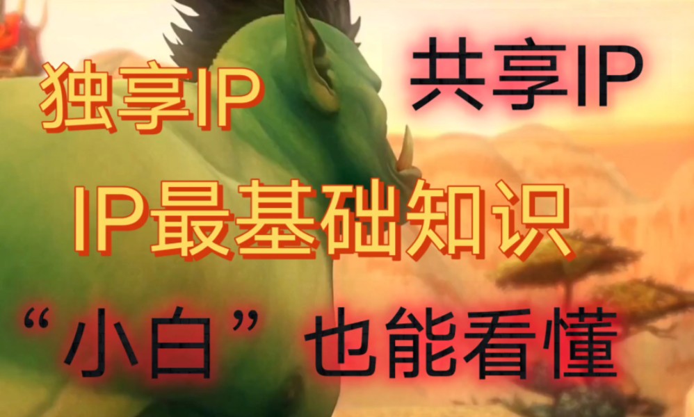 独享IP,共享IP,IP最基础知识,“小白也能看懂”