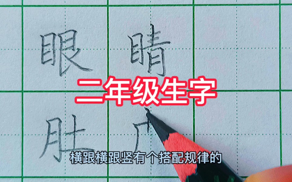 ...给身边需要的朋友哦!一起把字练好#硬笔书法#小学生#零基础入门教程