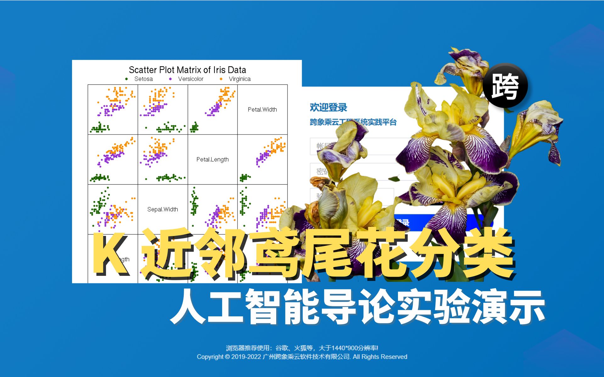 人工智能导论实验演示 - 20. K 近邻鸢尾花分类