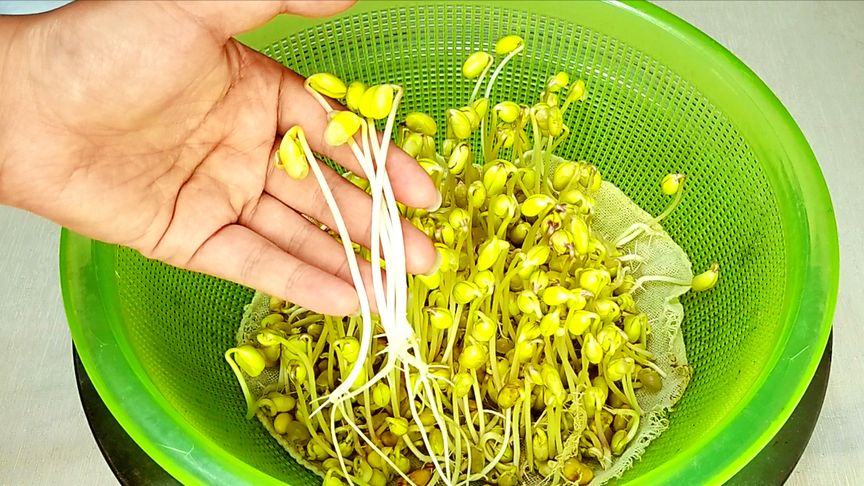 教你在家快速发黄豆芽,长得长还粗壮,不含各种添加剂,值得收藏