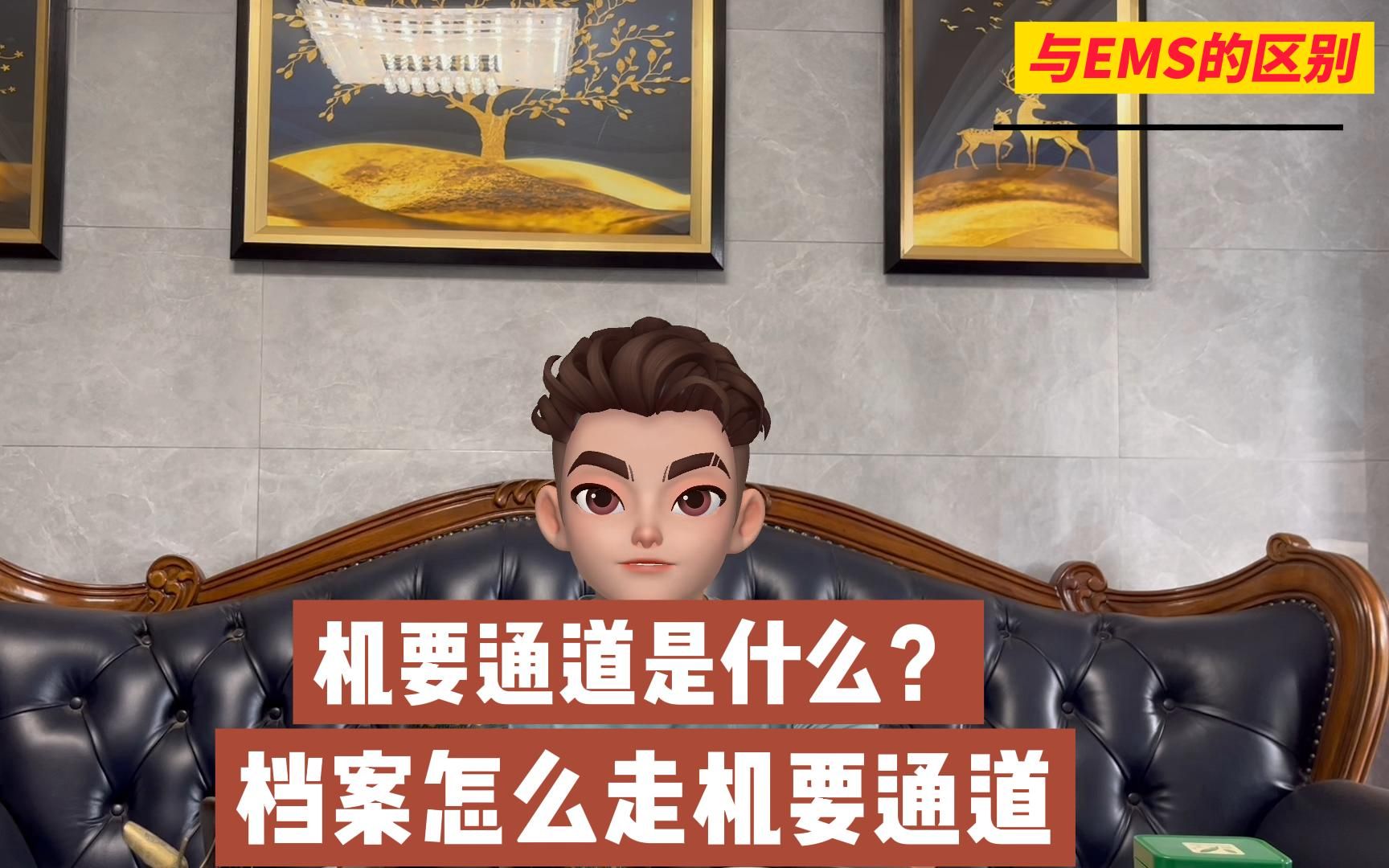 ...与EMS有什么区别,有人事权(政府机关,事业单位,国企,人才市场)并且...
