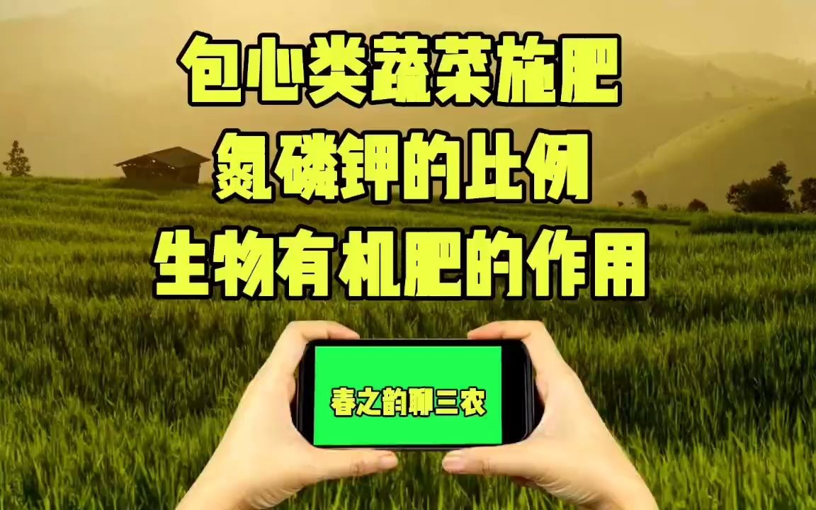 包心类蔬菜施肥,氮磷钾的比例,生物有机肥的作用