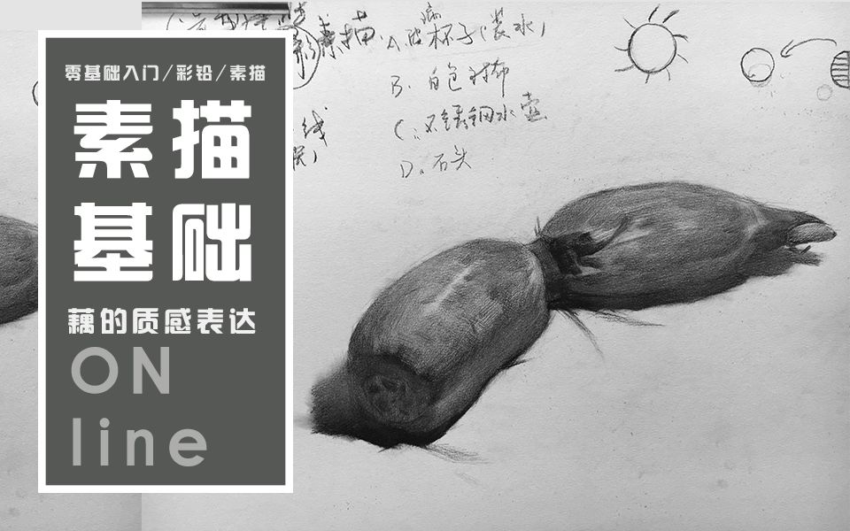 【零基础素描】莲藕的画法,美院dalao教你剖析莲藕