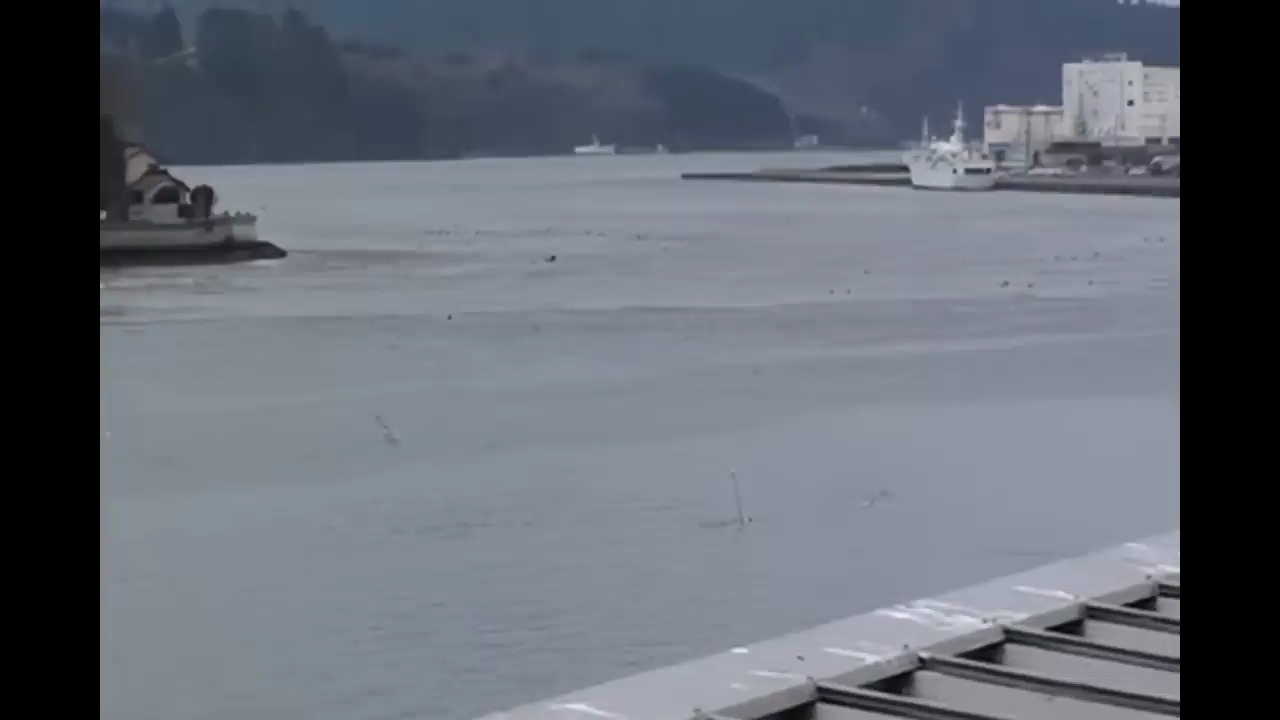 2011日本灭世海啸全纪录!气仙沼市鱼市瞬间被吞噬,震撼全程曝光!