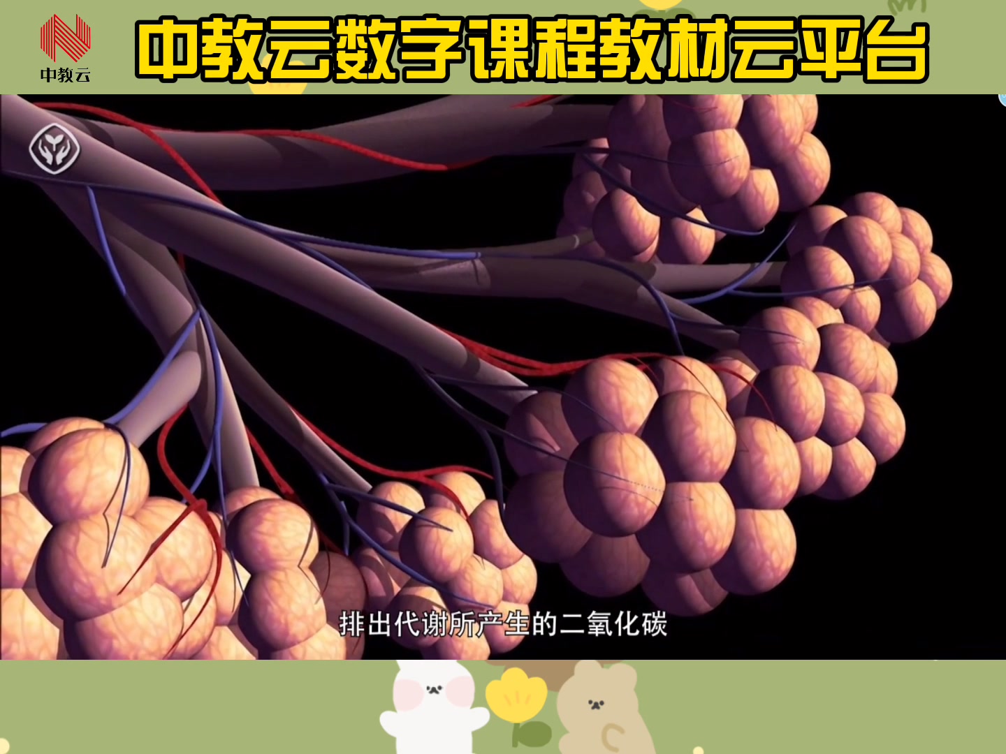 中教云数字课程教材云平台操作知识小课堂