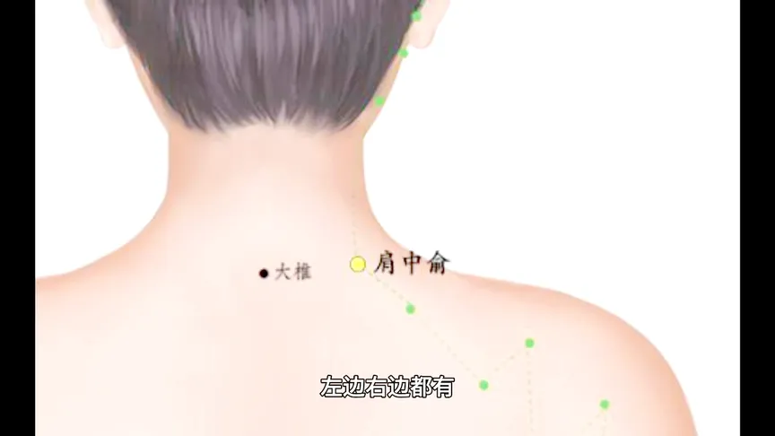 倪海厦:针灸之肩外俞与肩中俞,颈椎肩周疼近取穴一针灵