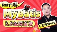 ...老杜从零学mybatis 入门到架构思维029-配置具体的数据库连接池参数