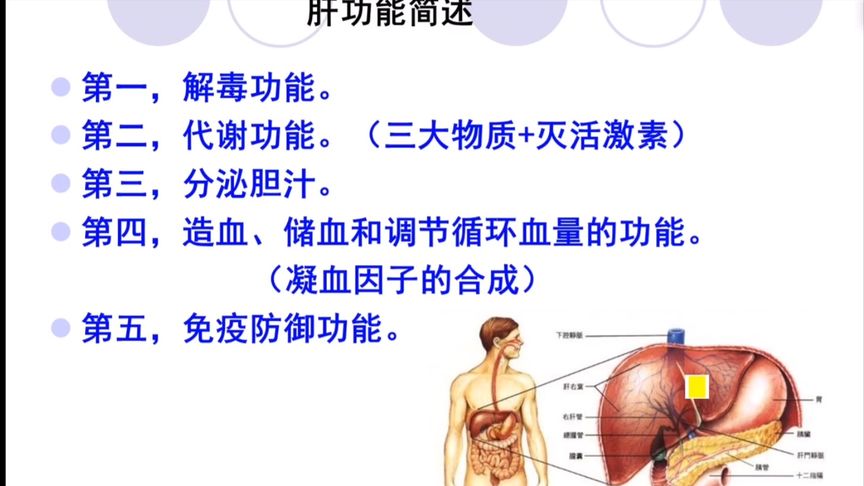 肝脏有何功能?肝硬化怎么回事?什么原因可以引起肝硬化?