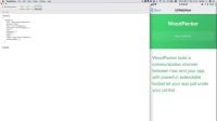 WoodPecker App 工具 - Web Console