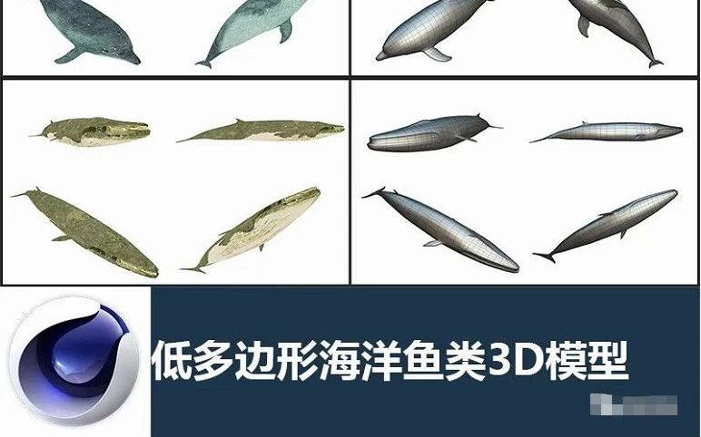 MAX FBX OBJ 10个低面多边形海洋鱼类海豚,鲸鱼鲨鱼三维模型