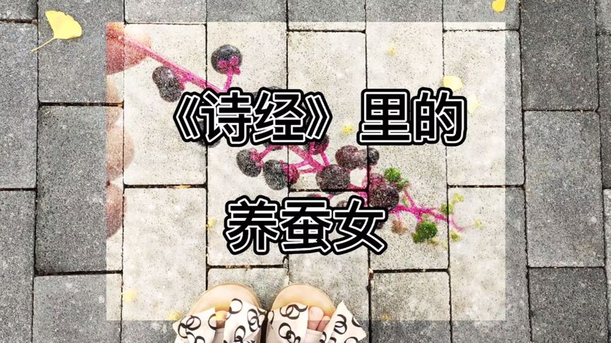 你知道古代女子怎么养蚕?她们会不会抱怨工作累死个人?