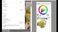 PainterIX实例与应用视频教程认识pa.zip