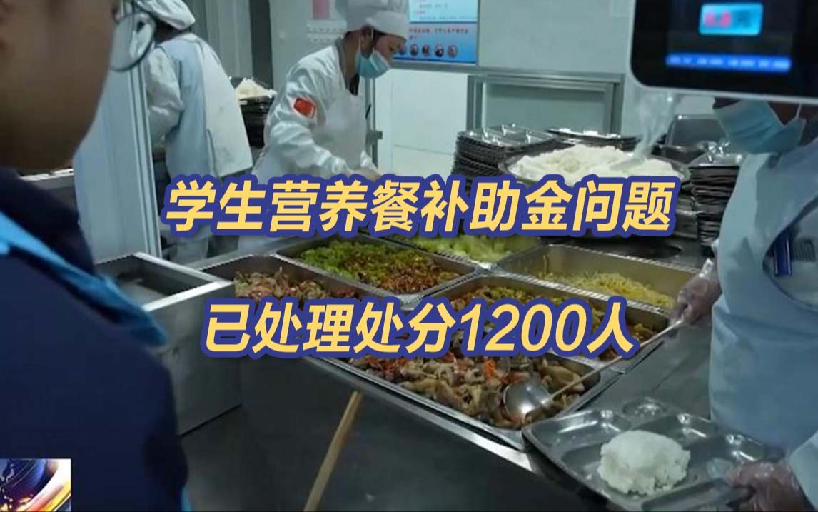 审计署报告:学生营养餐补助金问题 已处理处分1200人