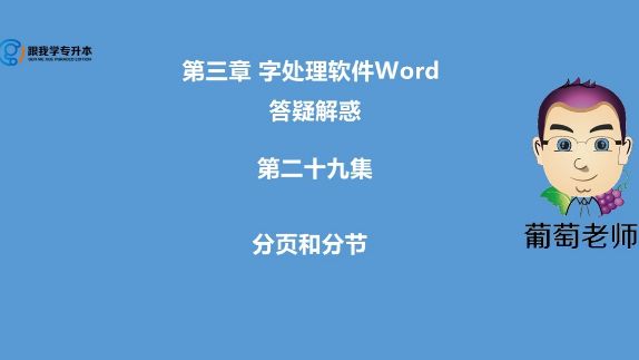 Word答疑解惑:029 分页和分节#山东专升本#跟我学专升本
