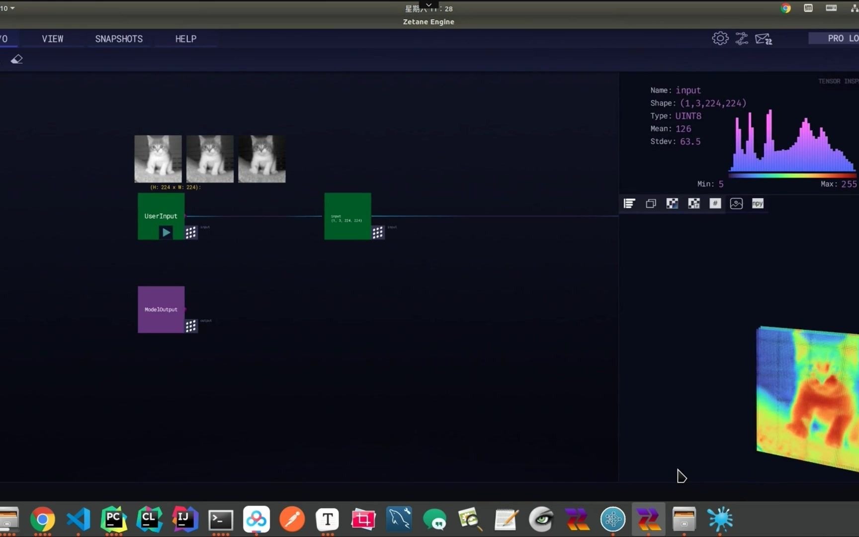 可视化经典神经网络模型——一只小猫的奇幻冒险