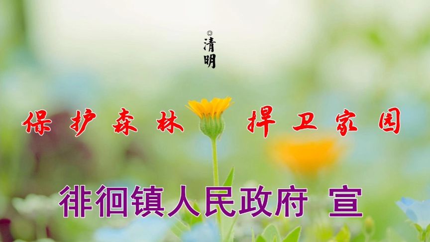 徘徊镇清明期间森林防灭火宣传片