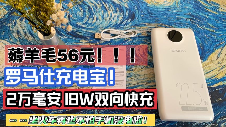 56元买个2万毫安罗马仕充电宝!官方店太香了!