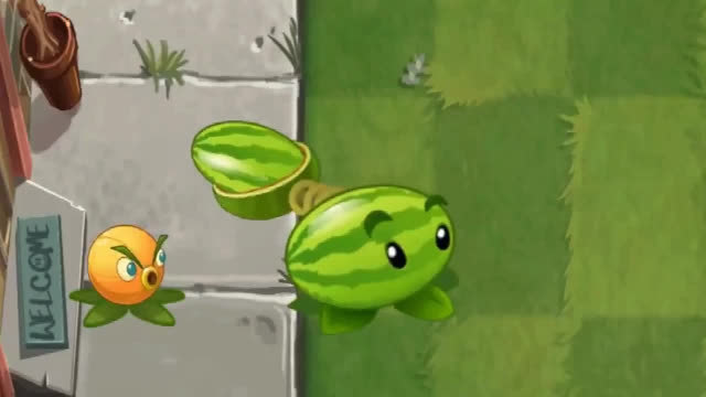 植物大战僵尸:植物大战僵尸动画!