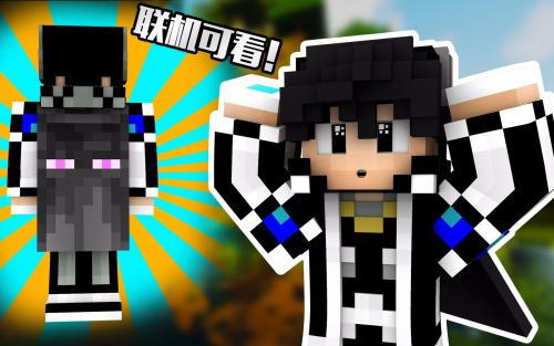 我的世界特别好看的披风MOD