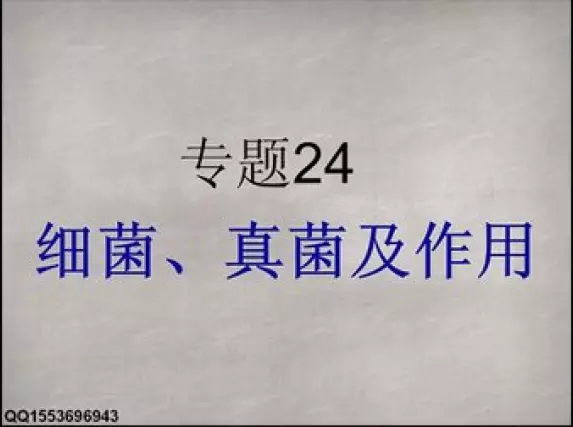 初中生物专题讲解24、细菌和真菌及应用
