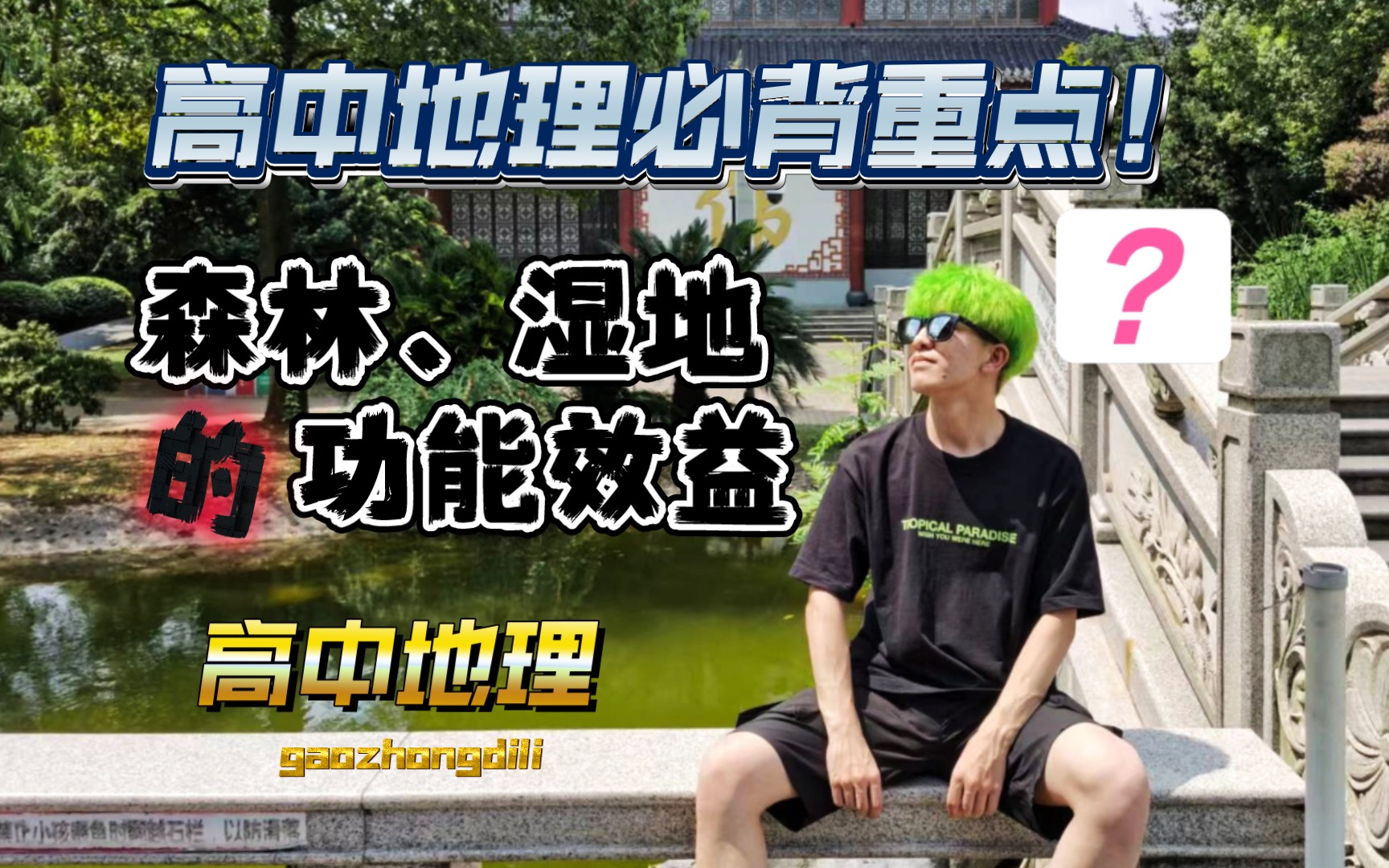 【高中地理】森林、湿地的功能效益(必背重点!)