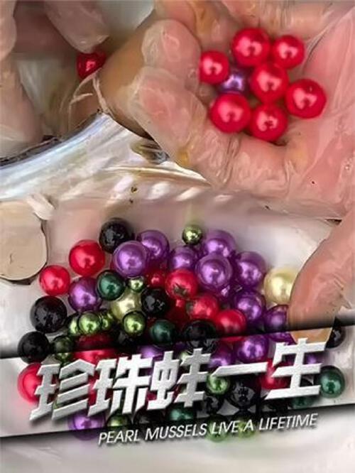 你知道珍珠是如何形成的吗,珍珠蚌备悲惨的一生蚌
