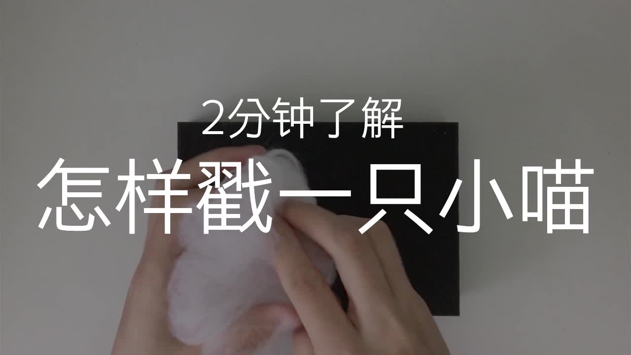 制作羊毛毡小猫咪的大概演示