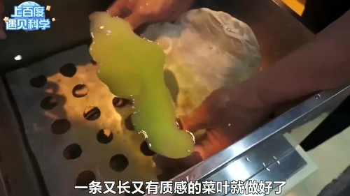 探秘神奇包菜模型:制作方法大揭秘,其作用究竟几何?