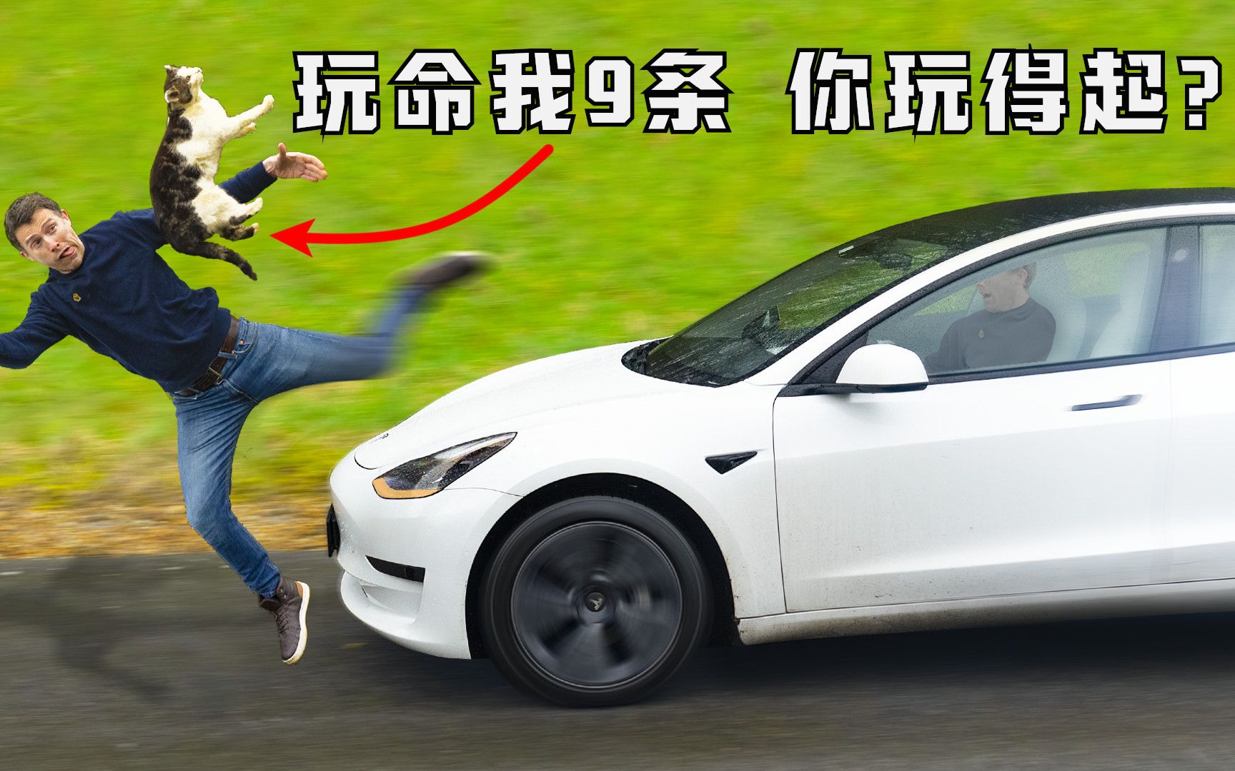 【Carwow中国】 为了测安全性我们决定"牺牲"一只猫! 沃尔沃 v 特斯拉...