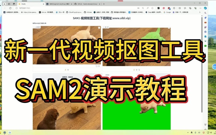 SAM2视频抠图工具整合包使用教程