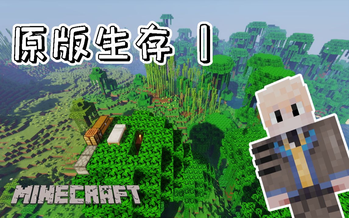【原版生存】第1集!新出生的一天!【我的世界】【原味生存】