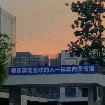 坚强的码奴 