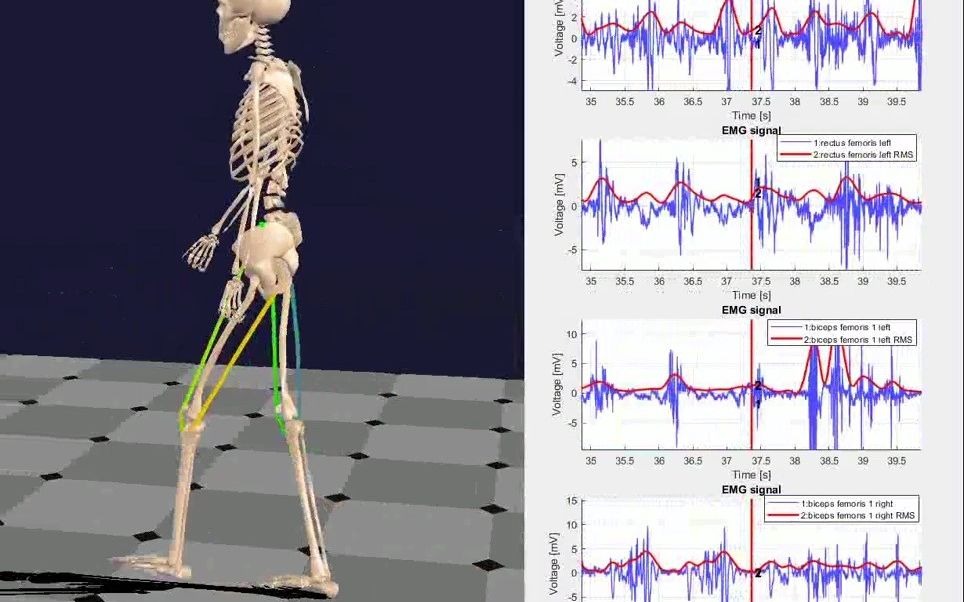 人体生物力学建模软件(BoB)同步MVN Analyze动捕数据绘制肌电信号...