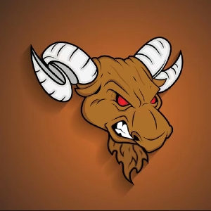 抠王撩机荐机报告 