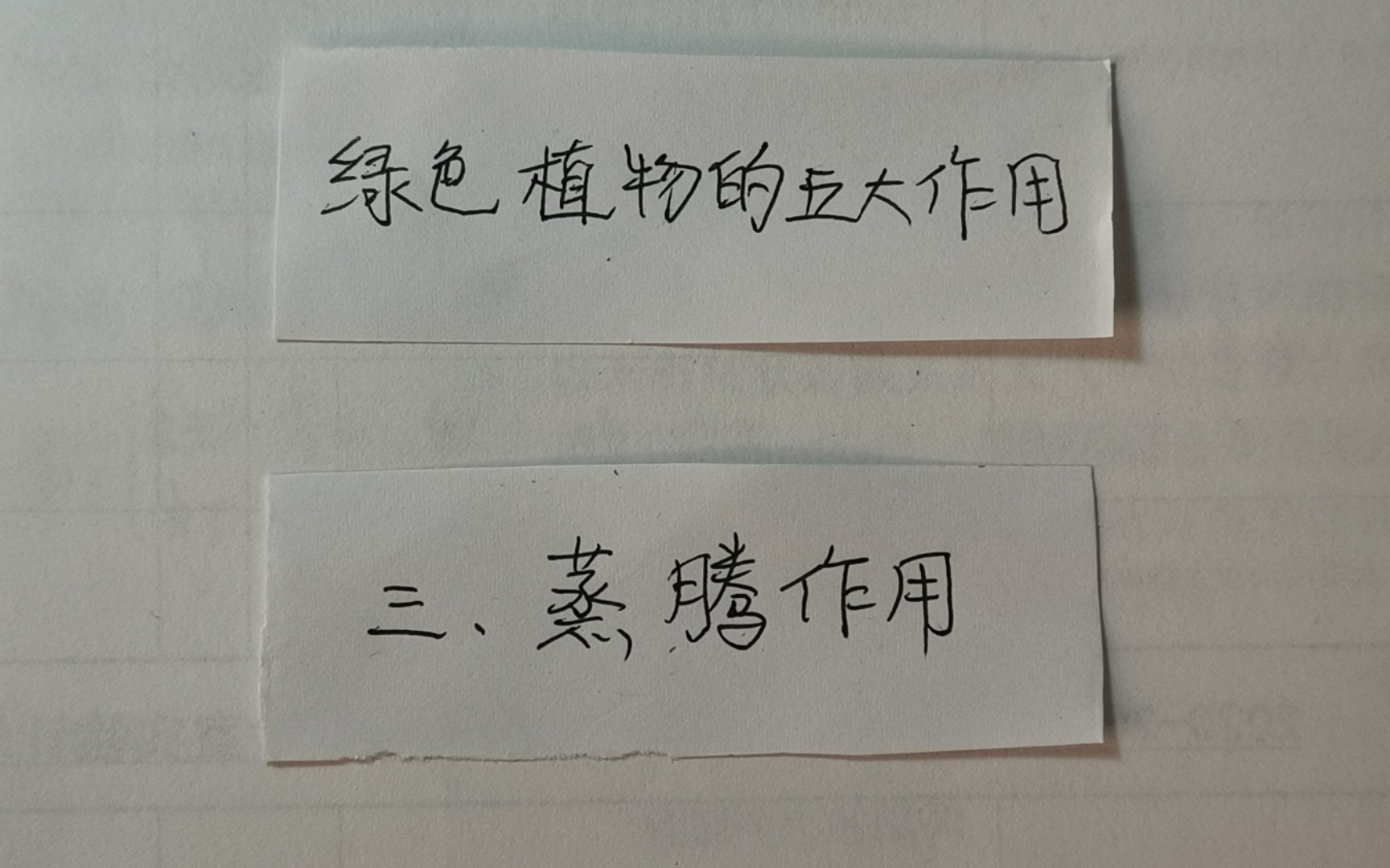 植物的五大作用之三——蒸腾作用(人教版初中生物七年级上册)
