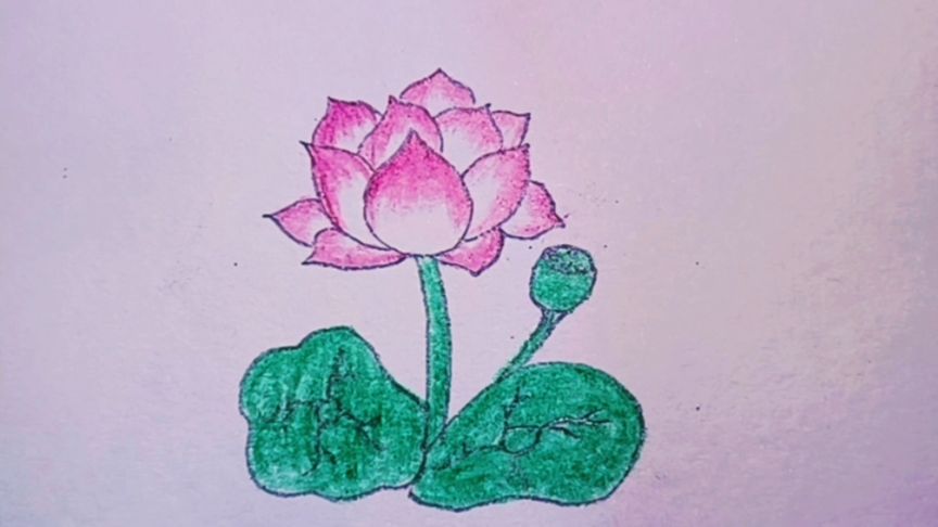 荷花的画法,用彩色铅笔画荷花简笔画,小朋友,你学会了吗