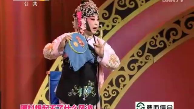 欣赏宁夏中卫秦剧团冯阿红演出《拾玉镯》片段 表演的不错!