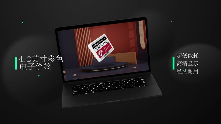 极思灵创电子价签来了!#电子价签 #电子价签解决方案 #零售