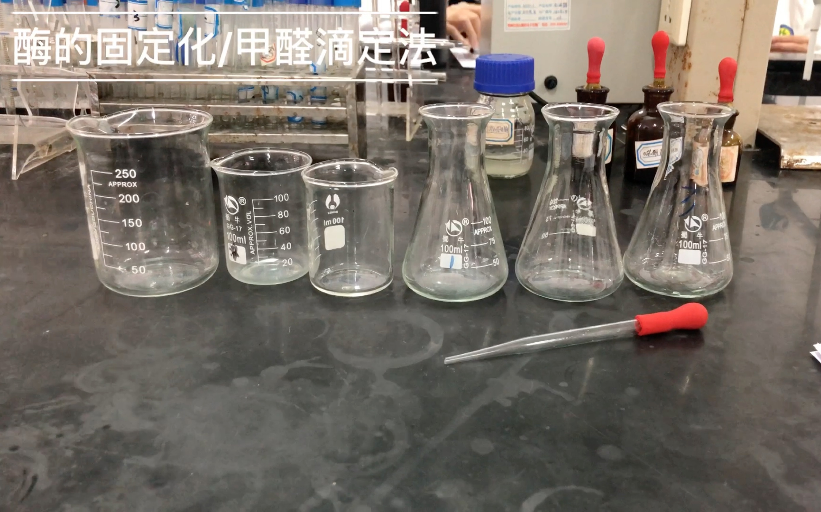 生物化学实验之酶的固定化及甲醛滴定法测定对酶活性的影响