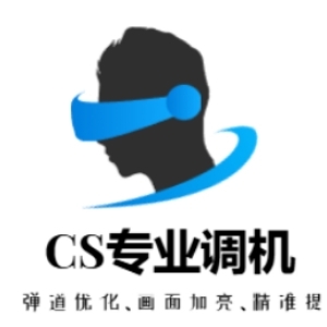 CS皮皮专业调机 