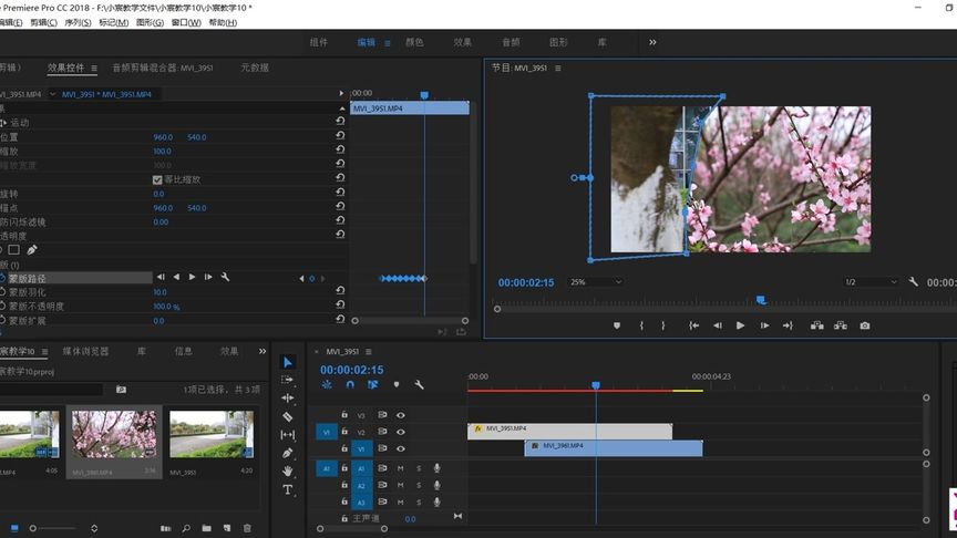 小宸pr教程,每天几分钟,教你如何对视频进行抠图转场