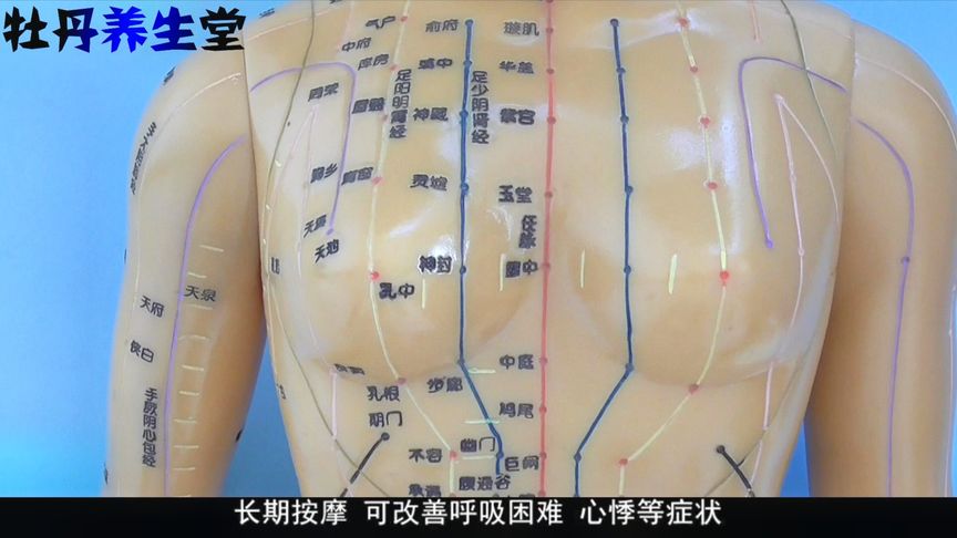 膻中穴每次按摩5-10分钟,可改善呼吸困难,心悸等症