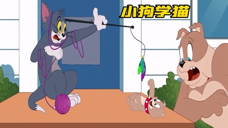 猫和老鼠之狗哥打狗三联让汤姆看儿子结果变成猫里猫气